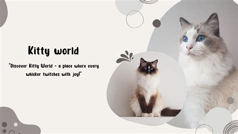 Kitty World Scottsboro Ga