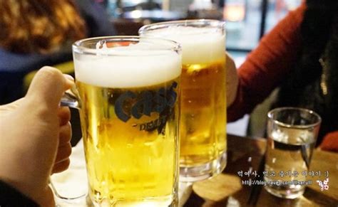 맥주 칼로리 500cc 한잔에 얼마 네이버 블로그