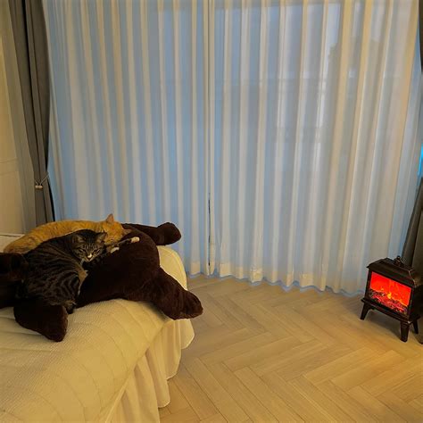 Instagram Photo By 무속연구가무당노슬비 노주은 • Dec 23 2023 At 1224 Am