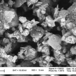 SEM Micrographs Of Simulated Soil Download Scientific Diagram