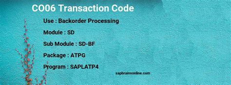 Co06 Sap Tcode For Backorder Processing