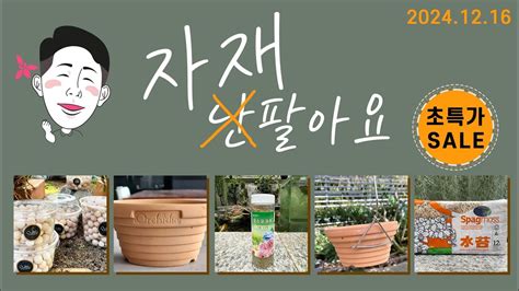 오키디아 자재 특가세일 난팔아요 시간입니다 Youtube