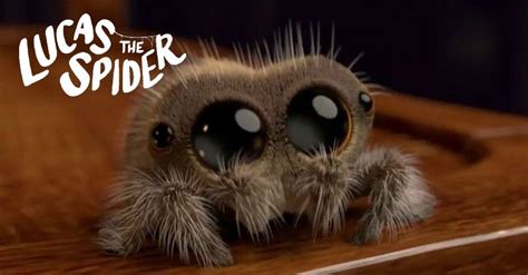 Heartwarming Moments In Lucas The Spider Tv Tropes