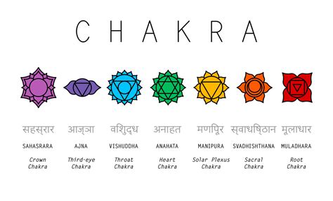Basic Human Chakra System 7 Chakras Set Of Seven Chakra Symbols Of