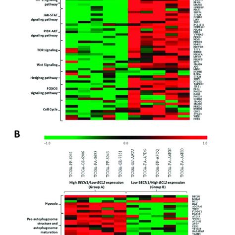 Mutational Status Of Relevant Oncogenes And Tumor Suppressor Genes Download Scientific Diagram