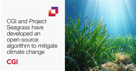 Cgi And Project Seagrass Release New Open Source Algorithm To Help
