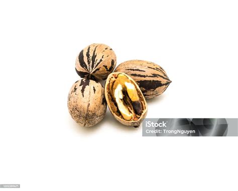 흰색에 분리 된 껍질을 벗긴 껍질 내 원시 유기농 피칸 견과류의 스튜디오 샷 더미 0명에 대한 스톡 사진 및 기타 이미지 0명 갈색 건조한 Istock
