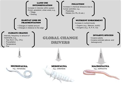 Conceptual Framework Of The Meta Analysis Download Scientific Diagram