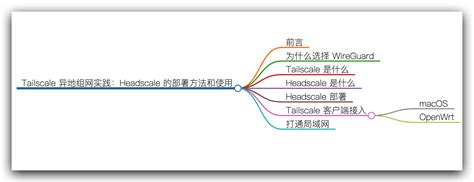 tailscale 异地组网实践：headscale 的部署方法和使用 · 寂寞留白