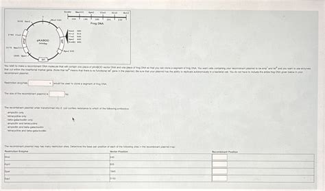 Solved Recombinant Plasmid Restriction Enzymes ﻿would Be