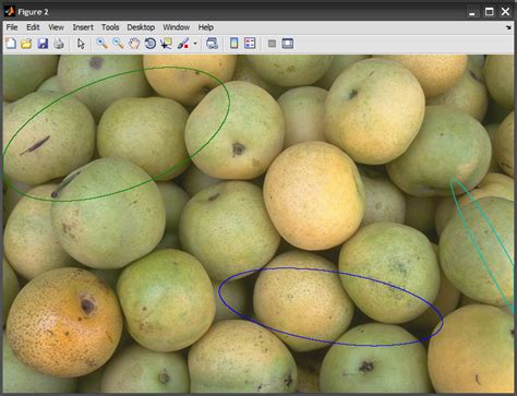 Matlab How To Avoid Ellipses Overlapping In Image Stack Overflow