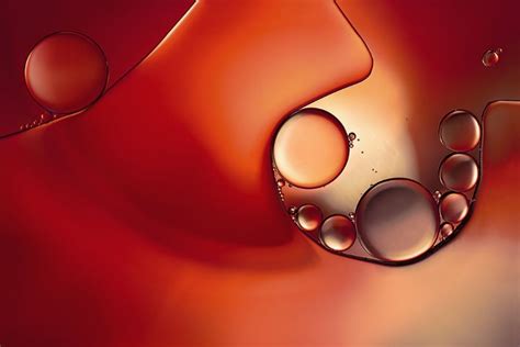 Somerset House Images Intruder In Red Ll