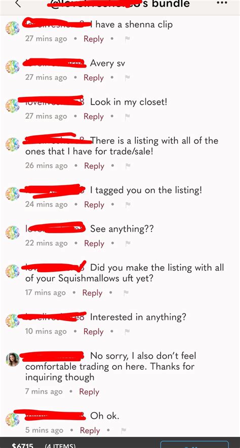Lady Creates Bundle Then Asks Me For My Squishmallows In Search Of List
