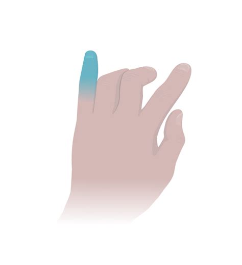 Typing Lessons State Capitals And Their Populations