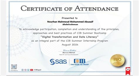 nourhan mahmoud on linkedin cib sas dataliteracy internship