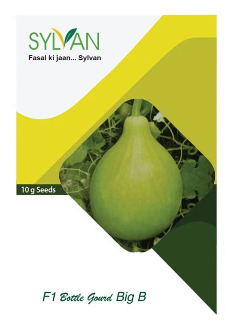 Bottle Gourd Big B At ₹ 132gram In Howrah Id 2856122451691