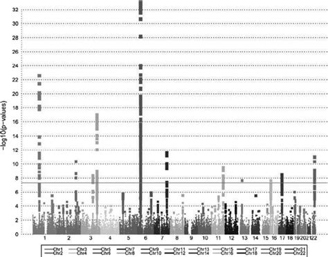 Manhattan Plot Illustrating The Results Of A Meta Analysis Of