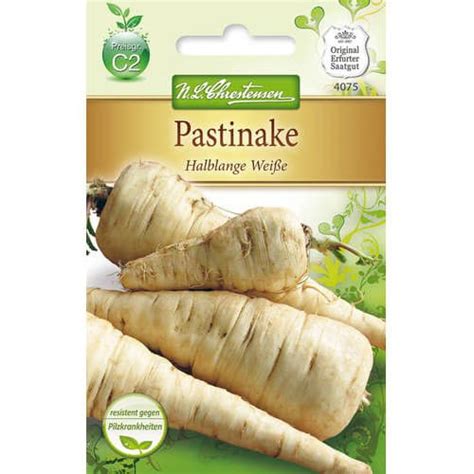Kupite Sjemena Pastrnjak Halblange Weisse 78737 U Gradinamax Trgovini