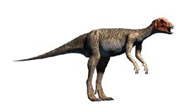 Anabisetia Prehistoria Fandom Fandom
