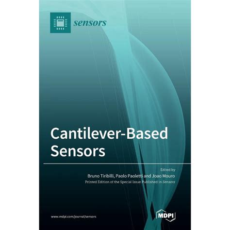 Cantilever Based Sensors Submarino