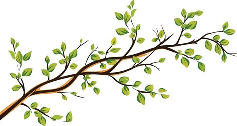 Tree Branch Illustration For Wall Art And Sticker 25770309 Vector Art At Vecteezy