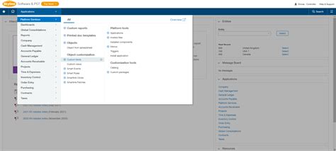 adding a custom field in sage intacct