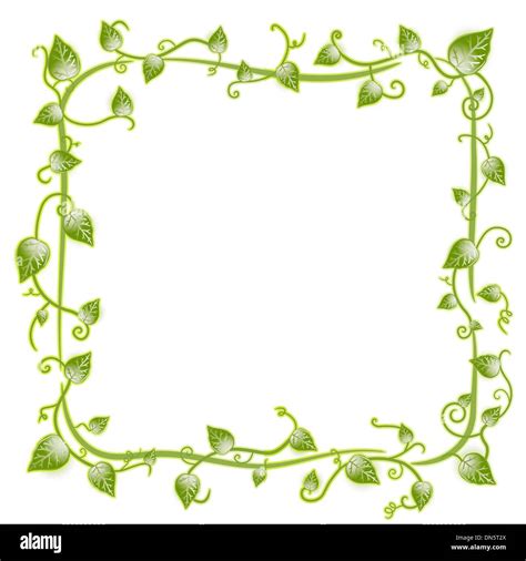 Floral Leaf Classic Frame Stock Vector Image And Art Alamy