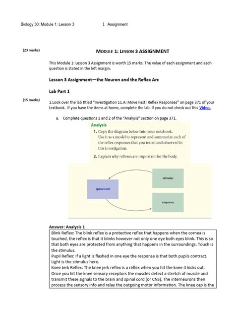 B30 M1 L03 Assignment Pdf Stimulus Physiology Neurophysiology