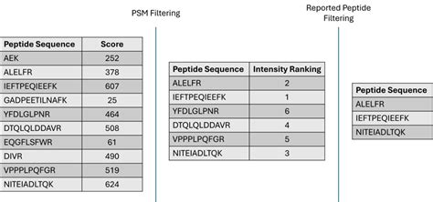 Advancing Proteomic Analysis With Top N Quantification Combining Byos