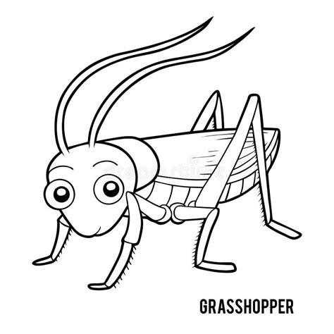 Grasshopper Stock Illustrations 12122 Grasshopper Stock