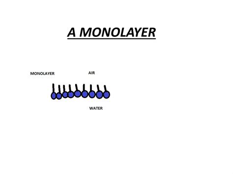 polymorphic structures of amphiphilic molecules in aqueous solution