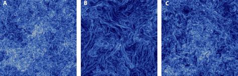 Instantaneous Snapshots Of The Turbulent Flows A Newtonian And Download Scientific Diagram