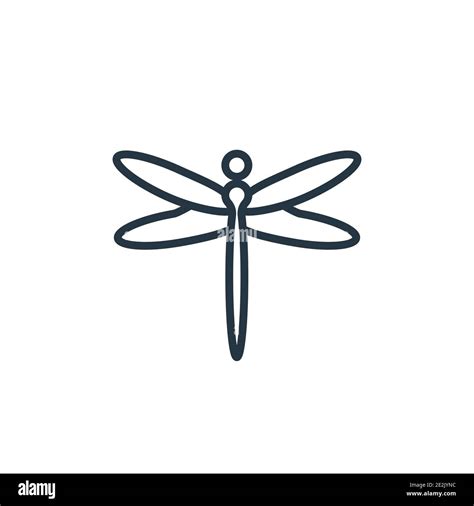 Dragonfly Outline Vector Icon Thin Line Black Dragonfly Icon Flat