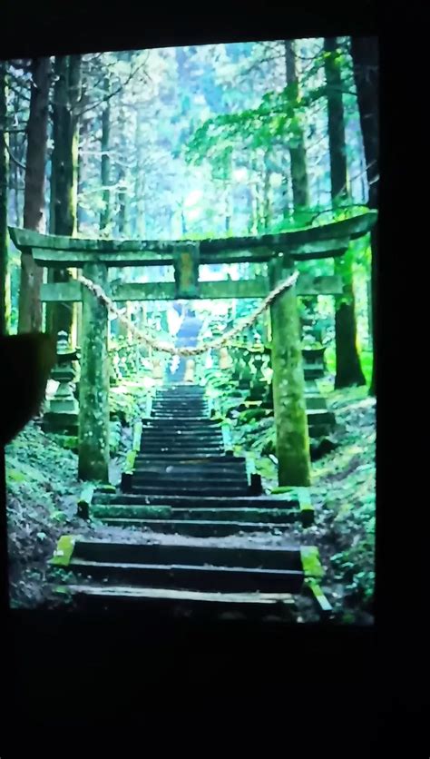 Scarlett Monroe Sucking Black Dong And Getting Fucked Very Hard Gay