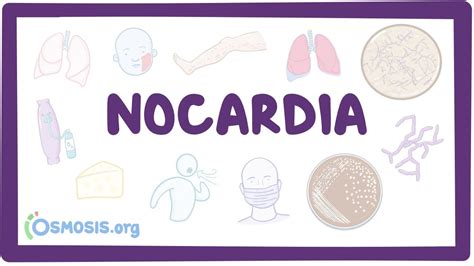 Nocardia Video Causes And Meaning Osmosis