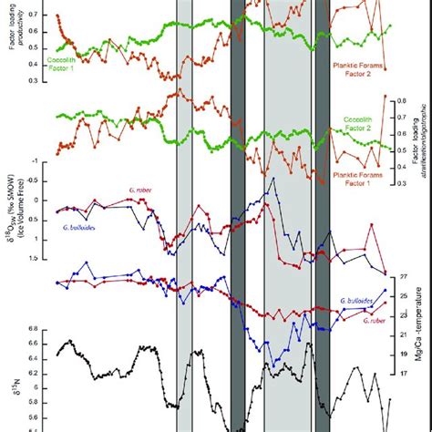 Noaa Ncep Derived Monthly Averaged Sea Surface Temperature Map During