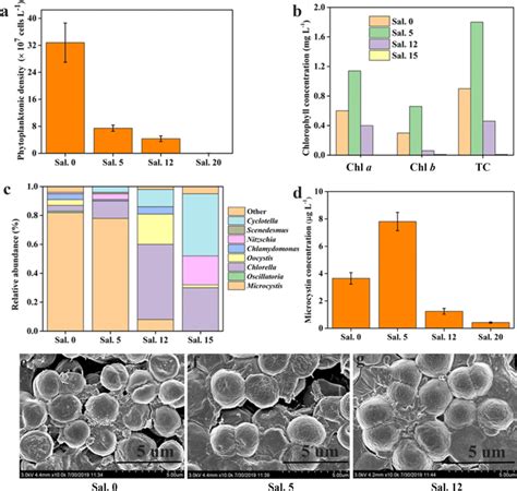 Phytoplanktonic And Microcystin Distribution In The Coastal River A Download Scientific