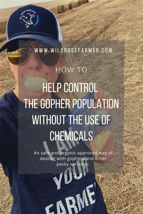 How To Control Gopher Population Organically