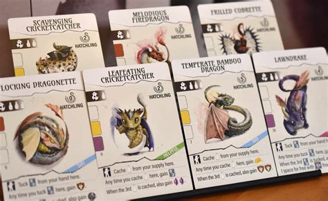 Wingspan Spin Off Wyrmspan Coming Soon To Tabletops Ontabletop