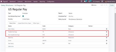 How To Setup Payslip For A US Company Using Odoo Payroll