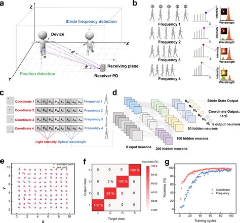 Step Frequency Localization Multimodal Recognition A Schematic Diagram