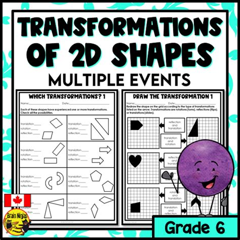 Transformation Worksheets Worksheets Library