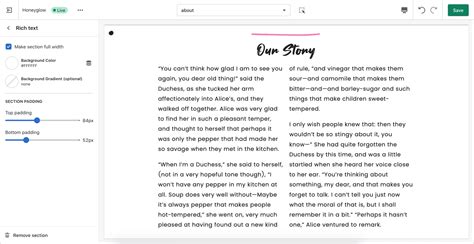 Rich Text Section Little Theme Shop