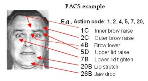 An Example Of Expression Coded By Facial Action Code System Ekman