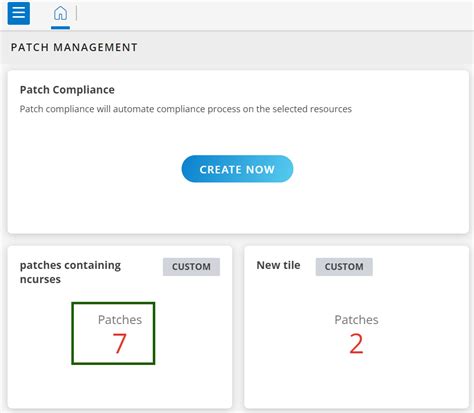 Patch Overview Page Opsramp Documentation