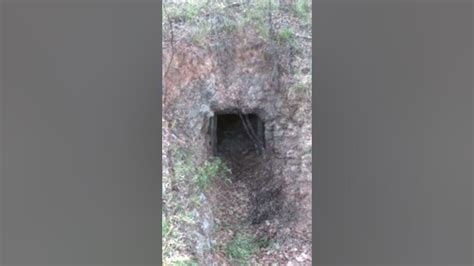 this man couldn t believe what he found under his backyard shorts
