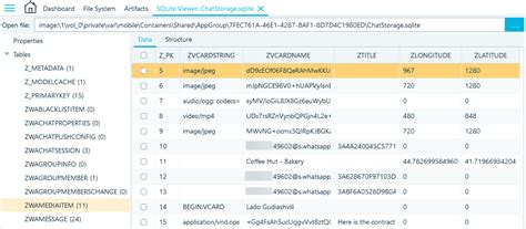 Ios Whatsapp Forensics With Belkasoft X