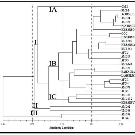 Upgma Dendrogram Displaying The Genetic Similarity Estimates According Download Scientific