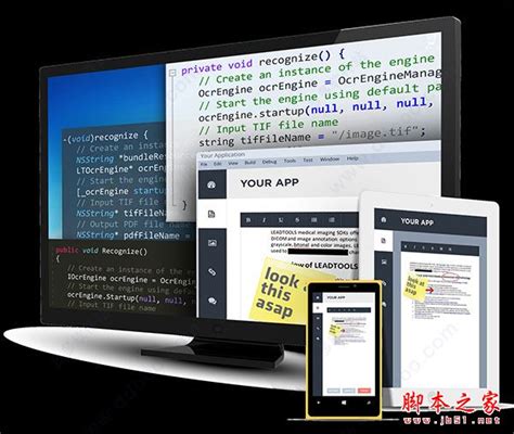 leadtools 19破解版下载 leadtools 图像处理开发工具包 19 免费特别版 附破解文件 安装破解教程 下载 脚本之家