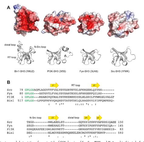 Figure 1 From Interaction Of Nonstructural Protein 5A Of The Hepatitis C Virus With Src Homology